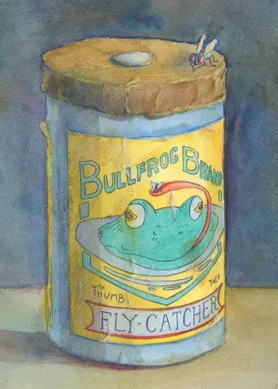 Bullfrog Brand Fly-Catcher - Nucleus | Art Gallery and Store